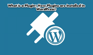 What is a Plugin? How Plugins are installed in WordPress? | eInfoDesk